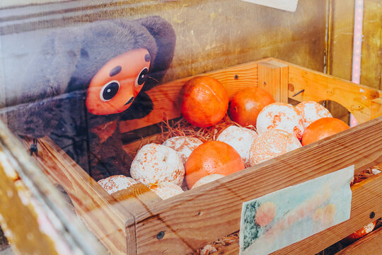 รูปภาพCheburashka – เลือกดูภาพถ่ายสต็อก เวกเตอร์ และวิดีโอ237 | Adobe Stock