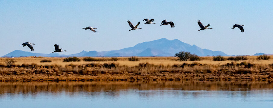 Schnacke Bilder – Durchsuchen 6,288 Archivfotos, Vektorgrafiken und ...