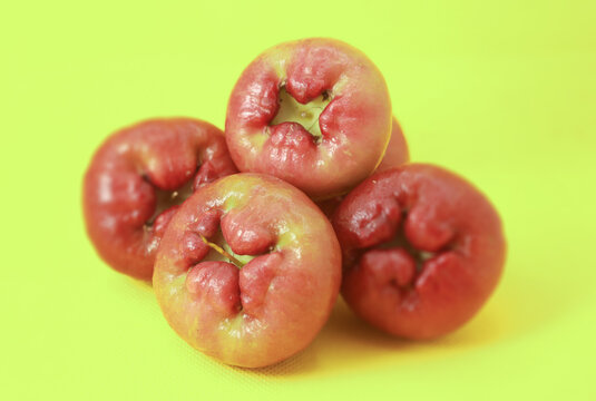 รูปภาพJamalac – เลือกดูภาพถ่ายสต็อก เวกเตอร์ และวิดีโอ2,352 | Adobe Stock