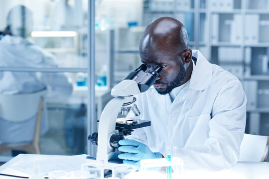 Free Scientist Images – Browse 3,369 Free Stock Photos, Vectors, and ...