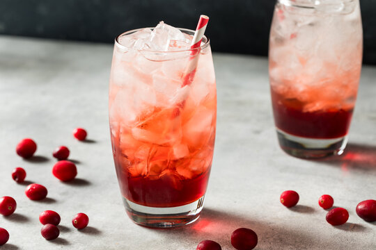 Foxberry Images – Browse 67,901 Stock Photos, Vectors, and Video ...