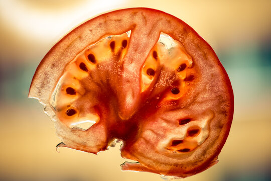 Imágenes de Plasterek: descubre bancos de fotos, ilustraciones ...