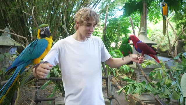 Man With Parrot Images – Browse 7,299 Stock Photos, Vectors, and Video ...