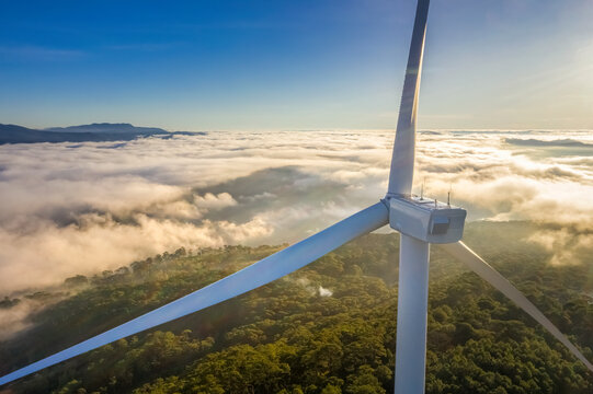 Lam Bilder – Durchsuchen 30,403 Archivfotos, Vektorgrafiken und Videos ...