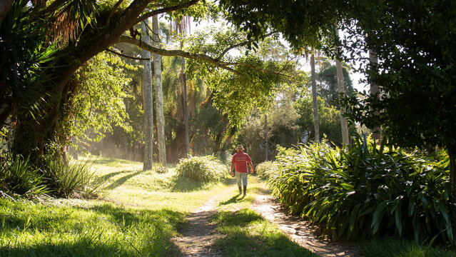 Imágenes de Minifundio: descubre bancos de fotos, ilustraciones ...