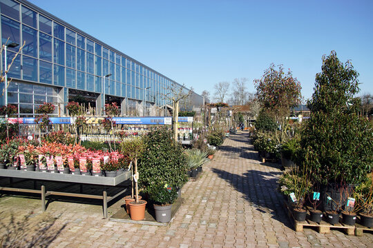 Intratuin Images – Browse 18 Stock Photos, Vectors, and Video | Adobe Stock