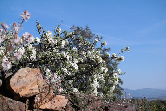 Lilla Bilder – Durchsuchen 6,118 Archivfotos, Vektorgrafiken und Videos ...