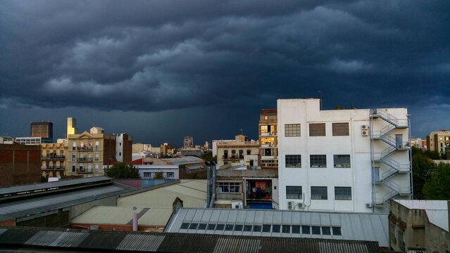 Imágenes de Tomenta: descubre bancos de fotos, ilustraciones, vectores ...