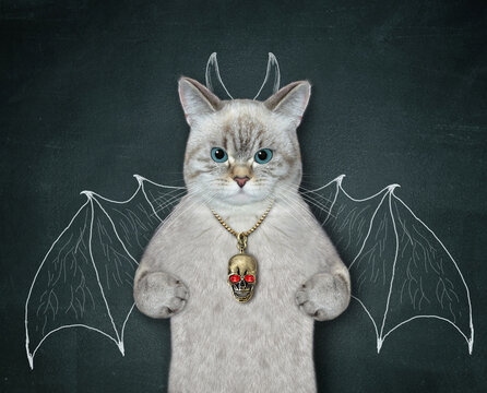 Shenanigan Images – Parcourir 46,610 le catalogue de photos, vecteurs ...