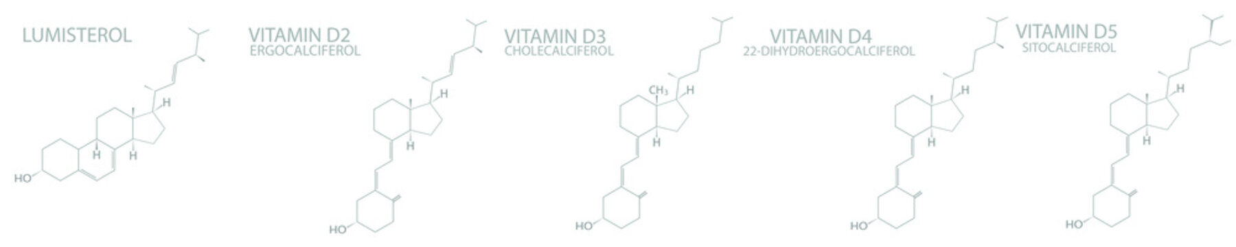 「Drisdol」の写真素材 | 810件の無料イラスト画像 | Adobe Stock