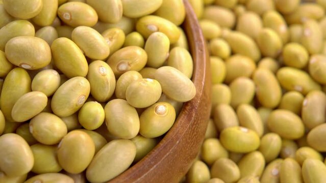 Afbeeldingen over "Peruano Bean" – Blader in stockfoto's, vectoren en ...