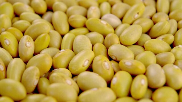 Afbeeldingen over "Peruano Bean" – Blader in stockfoto's, vectoren en ...