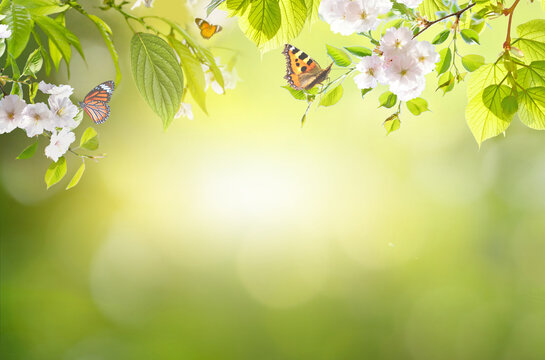 "Spring Background" Images – Browse 146,251 Stock Photos, Vectors, and ...