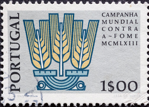Fao Bilder – Durchsuchen 524 Archivfotos, Vektorgrafiken und Videos ...