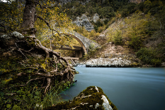 Sunnily bilder – Bläddra bland 11,769 stockfoton, vektorer och videor ...