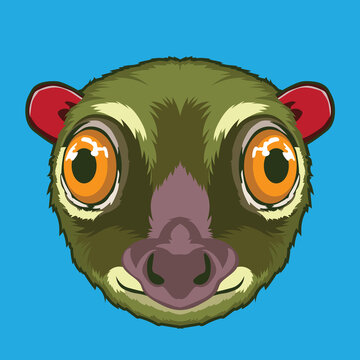 Colugo Bilder – Durchsuchen 562 Archivfotos, Vektorgrafiken und Videos ...