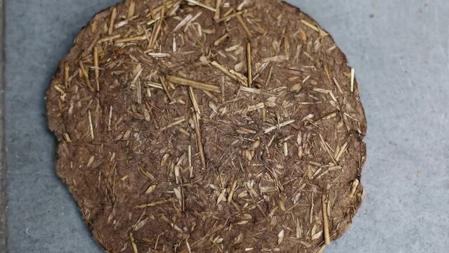 "Cow Pie" Bilder – Durchsuchen 91 Archivfotos, Vektorgrafiken und ...