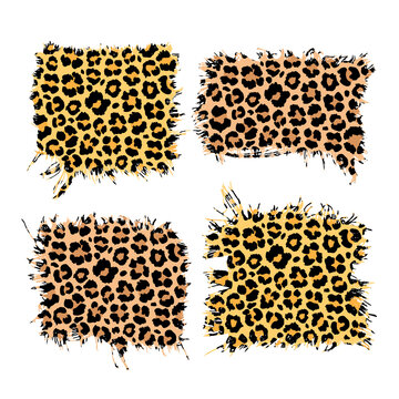 Distressed Leopard Print Background Images – Browse 1,611 Stock Photos ...