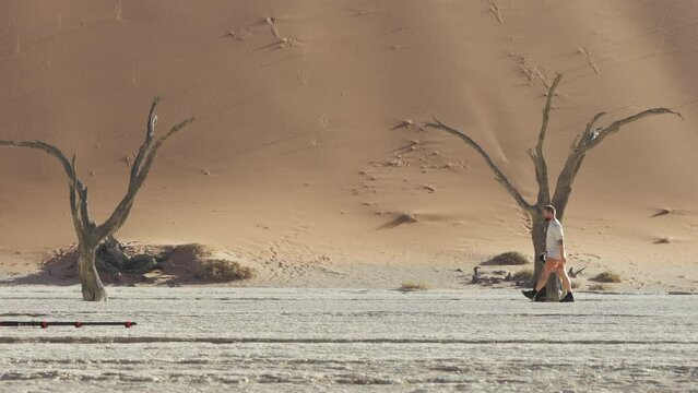 Kameeldoring Images – Browse 1,742 Stock Photos, Vectors, and Video ...