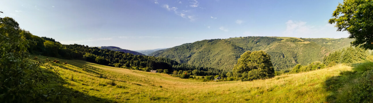 Bocage Images – Parcourir 2,253 le catalogue de photos, vecteurs et ...