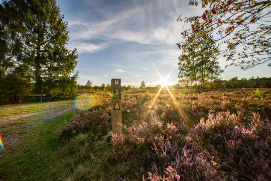 รูปภาพ"Heide – เลือกดูภาพถ่ายสต็อก เวกเตอร์ และวิดีโอ47,220 | Adobe Stock