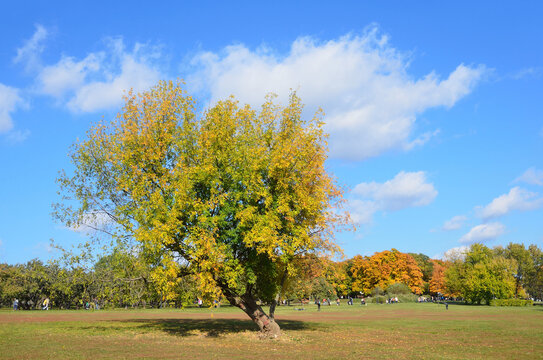 รูปภาพSubmit.shutterstock.com – เลือกดูภาพถ่ายสต็อก เวกเตอร์ และวิดีโอ ...