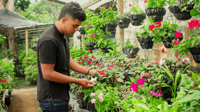 รูปภาพVivero – เลือกดูภาพถ่ายสต็อก เวกเตอร์ และวิดีโอ1,871 | Adobe Stock