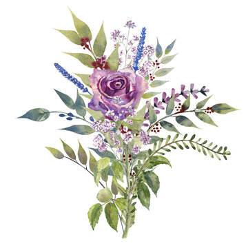 รูปภาพ"Agonis – เลือกดูภาพถ่ายสต็อก เวกเตอร์ และวิดีโอ292 | Adobe Stock