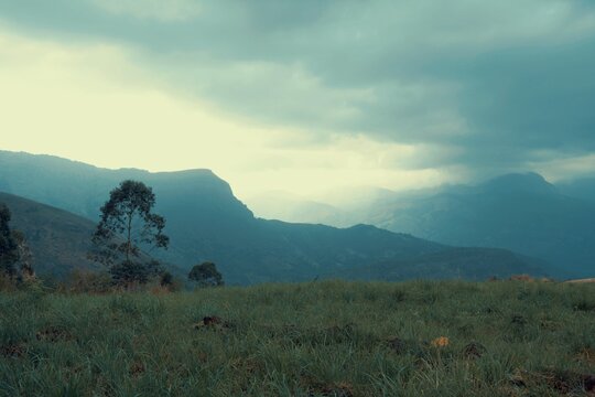 รูปภาพVagamon – เลือกดูภาพถ่ายสต็อก เวกเตอร์ และวิดีโอ748 | Adobe Stock