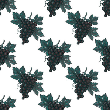 Grapevine Images – Browse 1,268,694 Stock Photos, Vectors, and Video ...