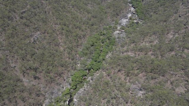 Imagens de Koah – Explore Fotografias do Stock, Vetores e Vídeos de 194 ...