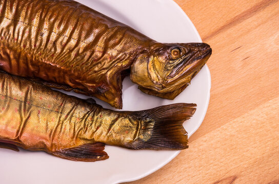 「Lachsfisch」の写真素材 | 143件の無料イラスト画像 | Adobe Stock