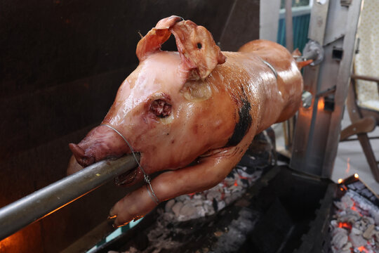 รูปภาพ"Spit – เลือกดูภาพถ่ายสต็อก เวกเตอร์ และวิดีโอ92,960 | Adobe Stock