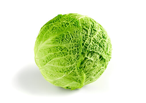 Gabbage Images – Browse 134 Stock Photos, Vectors, and Video | Adobe Stock