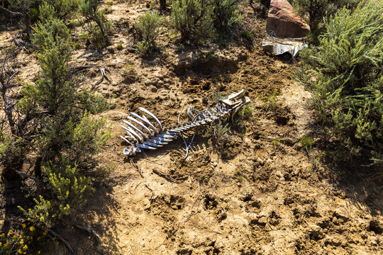 รูปภาพZnco3 – เลือกดูภาพถ่ายสต็อก เวกเตอร์ และวิดีโอ446 | Adobe Stock