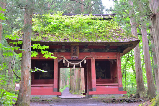 Marg bilder – Bläddra bland 43,766 stockfoton, vektorer och videor ...