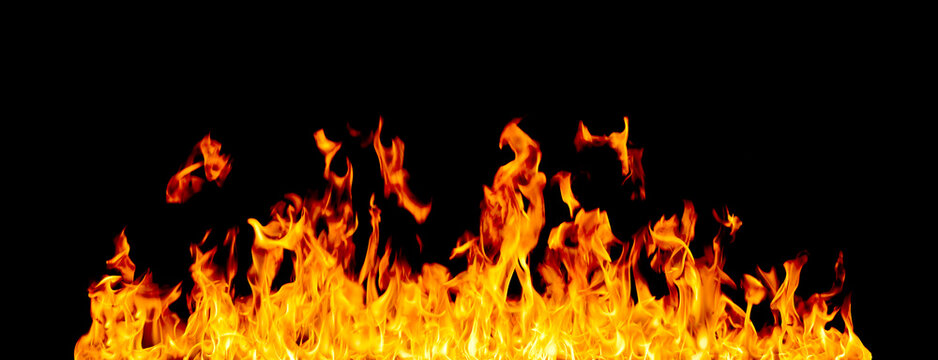 Fervent Images – Browse 406,023 Stock Photos, Vectors, and Video ...