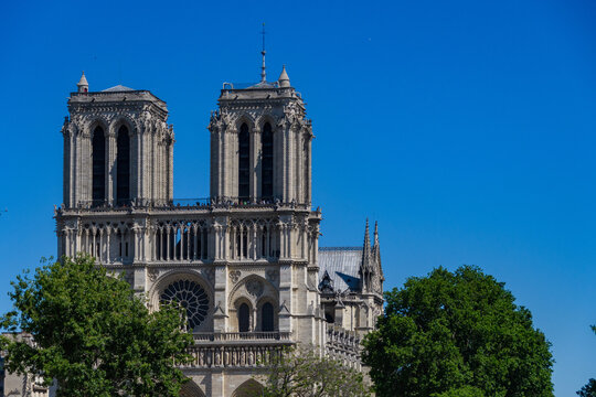 ノートルダム Images – Browse 793 Stock Photos, Vectors, and Video | Adobe Stock