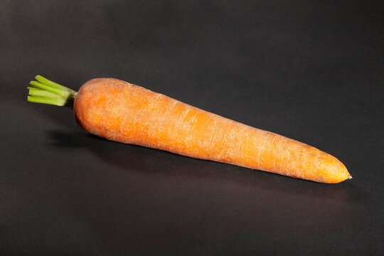 One Carrot Images – Browse 256,886 Stock Photos, Vectors, and Video ...