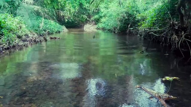 Arrollo bilder – Bläddra bland 184 stockfoton, vektorer och videor ...