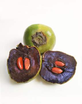 Zapote 이미지 – 찾아보기 2,200 스톡 사진, 벡터 및 비디오 | Adobe Stock