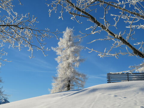 Winterland Images – Parcourir 2,717 le catalogue de photos, vecteurs et ...