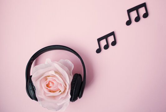 Listen Rosa Images – Browse 3,344 Stock Photos, Vectors, and Video ...