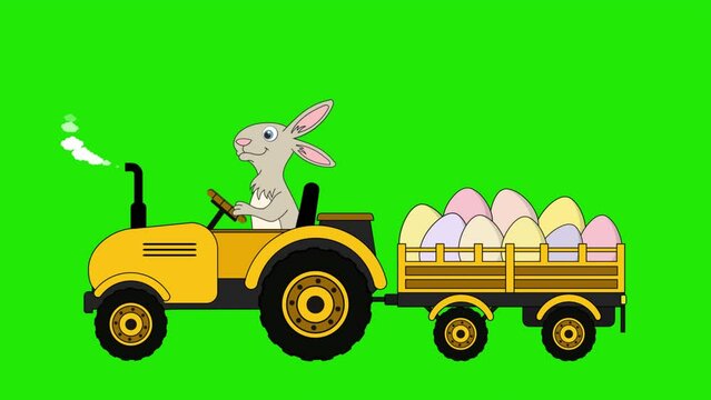 Springhare Images – Browse 354 Stock Photos, Vectors, and Video | Adobe ...