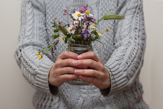 รูปภาพManojo – เลือกดูภาพถ่ายสต็อก เวกเตอร์ และวิดีโอ7,969 | Adobe Stock