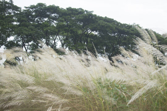 Kashful Images – Browse 279 Stock Photos, Vectors, and Video | Adobe Stock