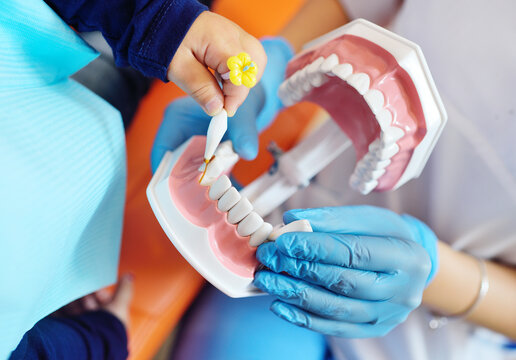 Milchgebiss Bilder – Durchsuchen 22,483 Archivfotos, Vektorgrafiken und ...