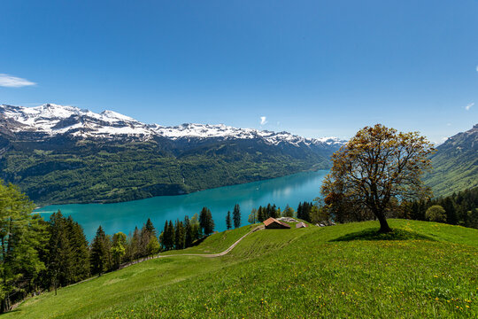 รูปภาพBrienzersee – เลือกดูภาพถ่ายสต็อก เวกเตอร์ และวิดีโอ4,042 | Adobe ...