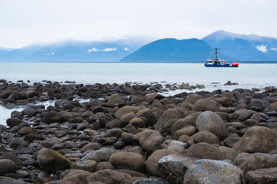 "Jackson Bay" Billeder – Gennemse 280 stockfotos, vektorer og videoer ...