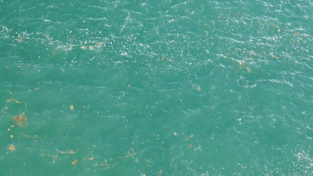 Flotsam Images – Browse 21,090 Stock Photos, Vectors, and Video | Adobe ...